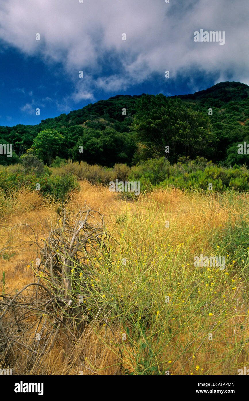 Garland Ranch Regional Park Carmel Valley Monterey Co California Stock ...
