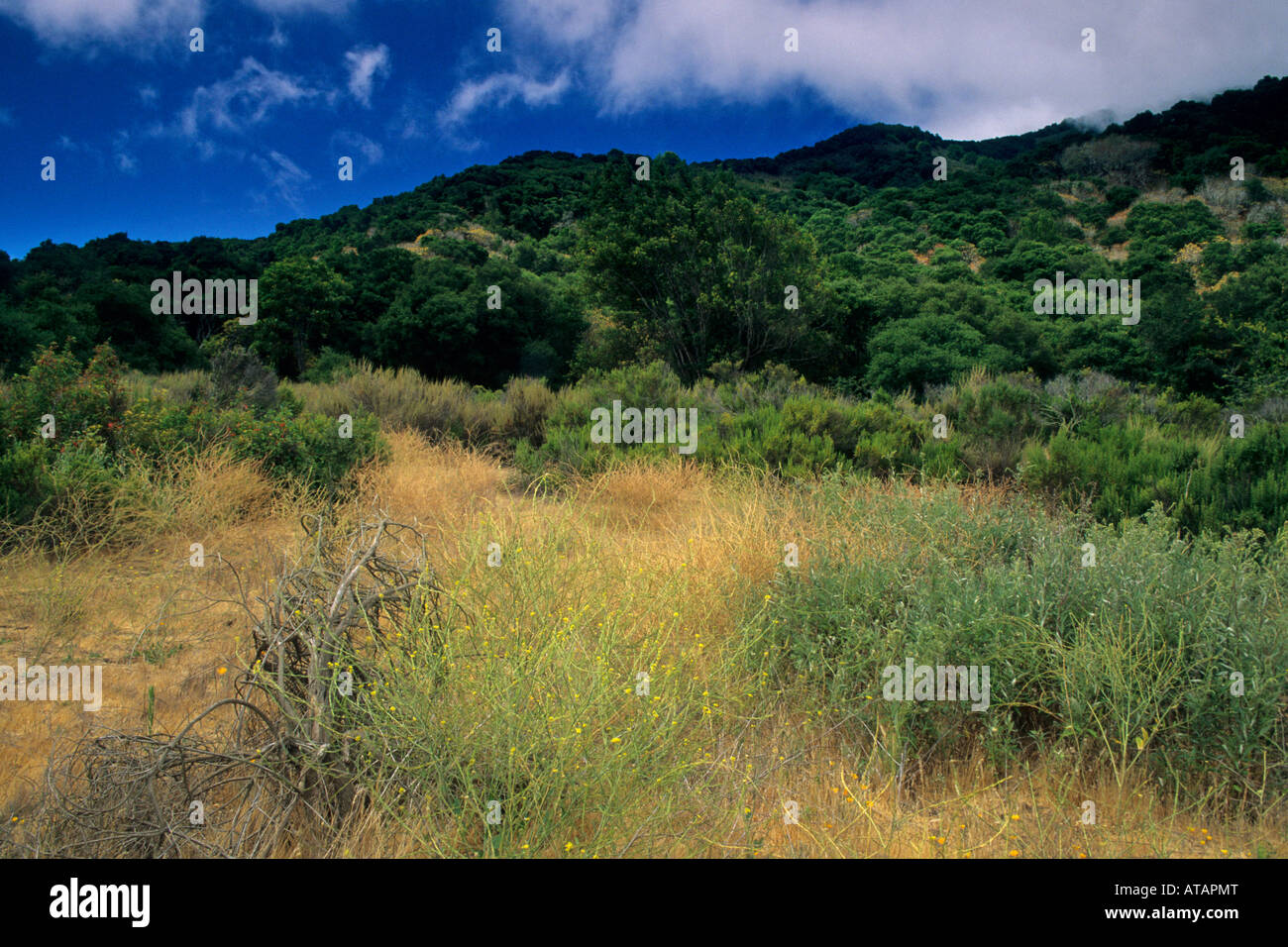 Garland Ranch Regional Park Carmel Valley Monterey County California ...