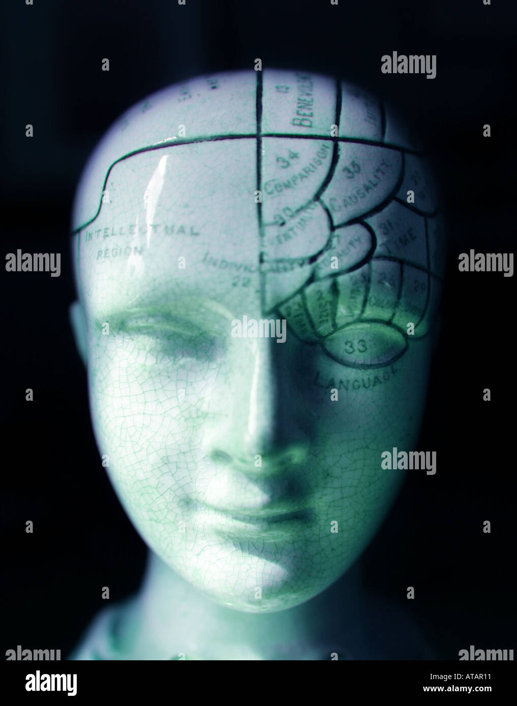 The mind hi-res stock photography and images - Alamy