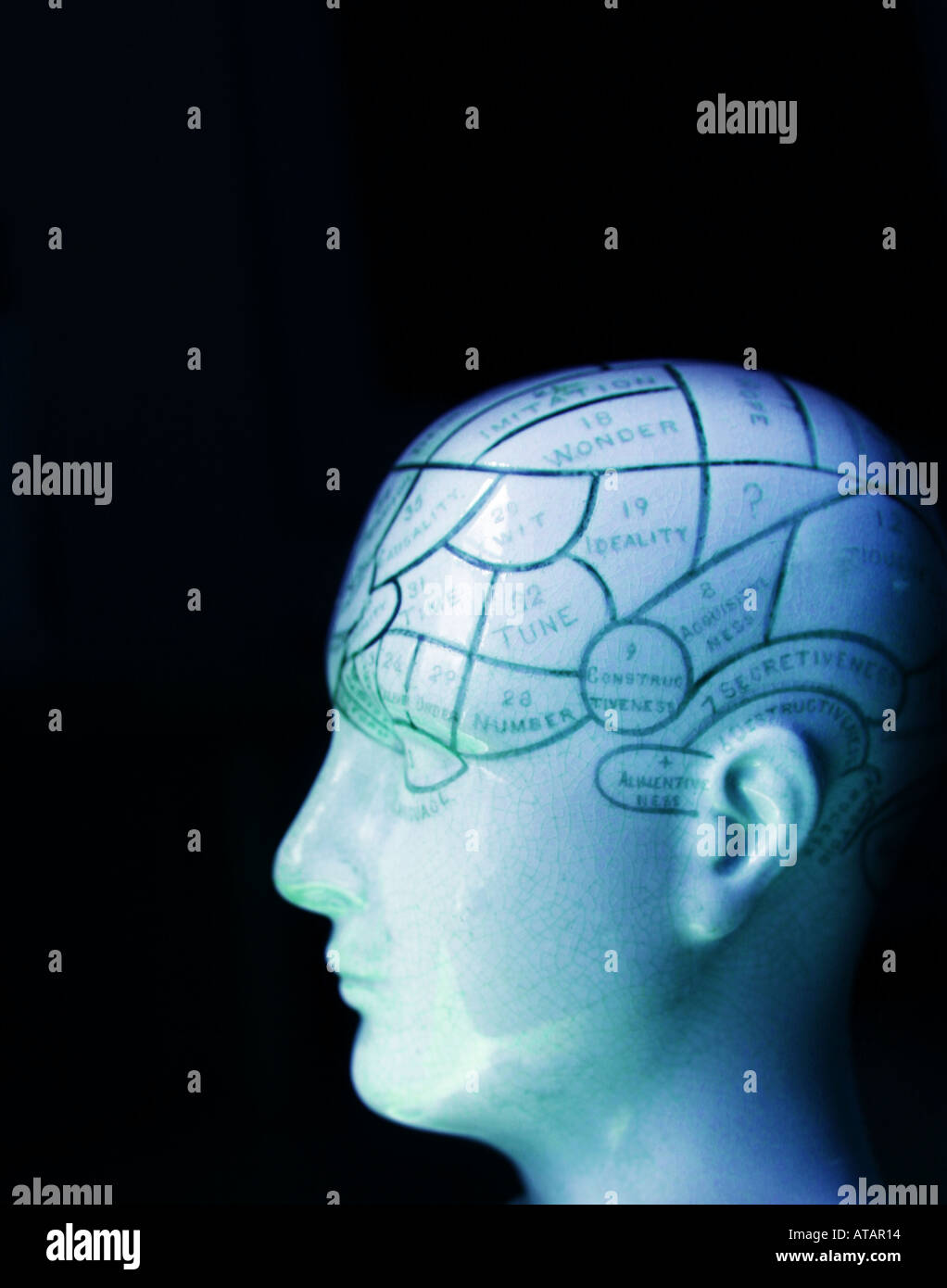 Mind and mind hi-res stock photography and images - Alamy