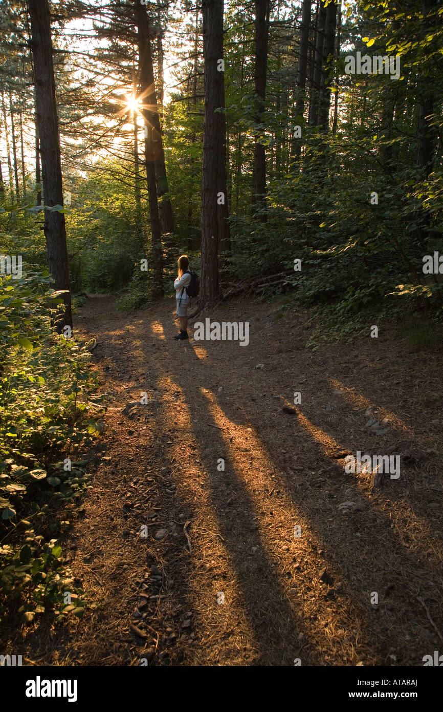 Hiker in the forest on Slivnica Mountain Slovenia Stock Photo - Alamy