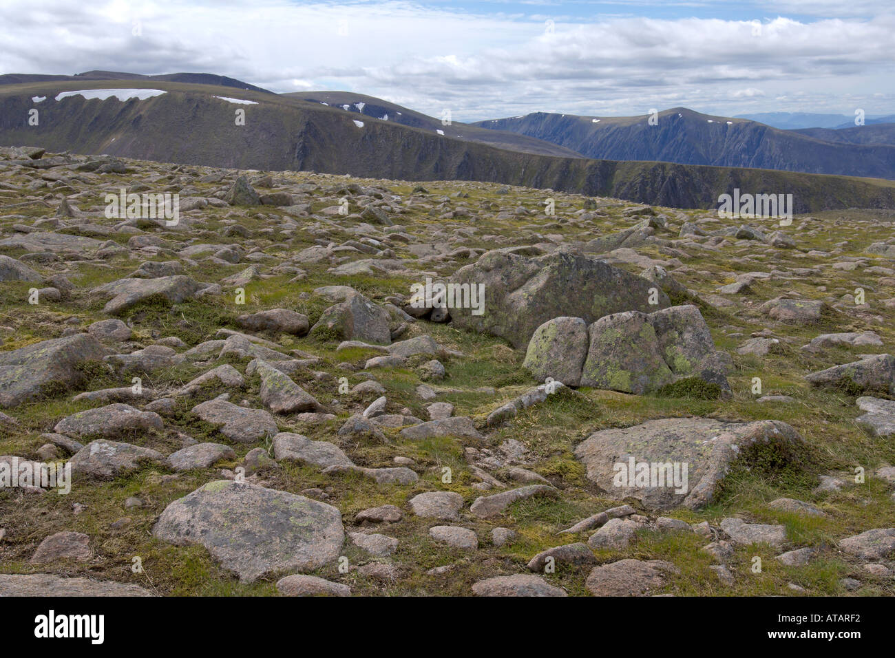 Cairngorms plateau june hi-res stock photography and images - Alamy