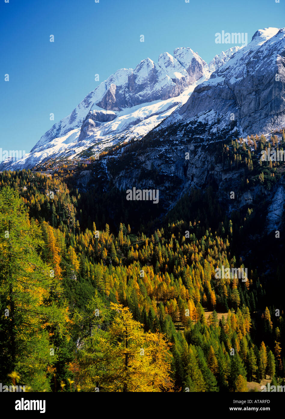 Fall colours in south tyrolean alps Stock Photo - Alamy