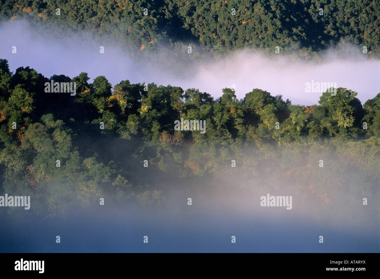 Coastal fog oak trees and hills Cachaqua Road above Carmel Valley ...