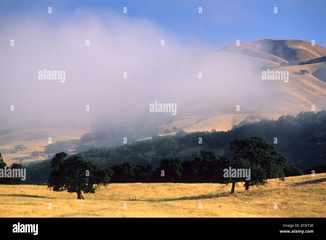 California golden hills hillside summer hi-res stock photography and ...