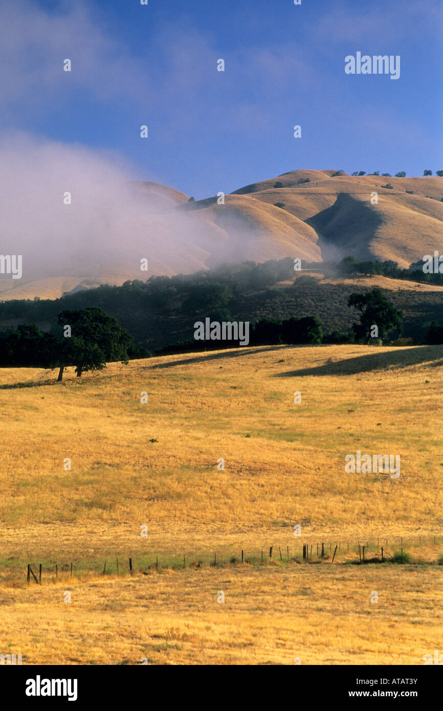 California golden hills hillside summer hi-res stock photography and ...