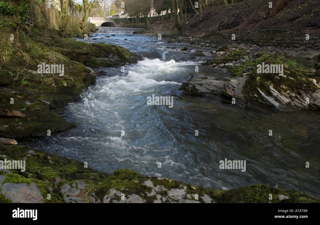 River Tavy Abbey Bridge Tavistock Devon England Stock Photo - Alamy