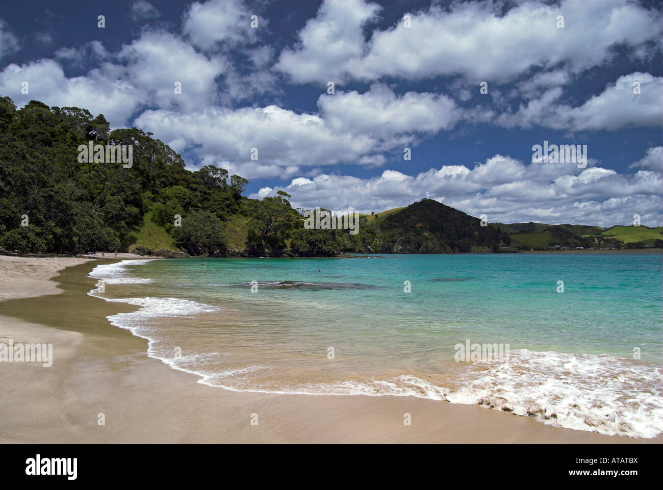 Whale Bay, Tutukaka Coast, New Zealand Stock Photo - Alamy