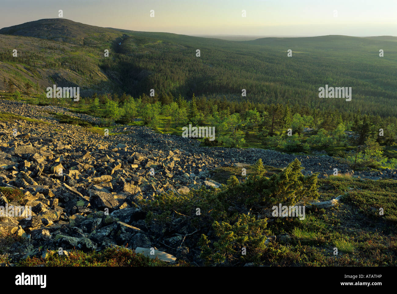 Pyhatunturi national park hi-res stock photography and images - Alamy