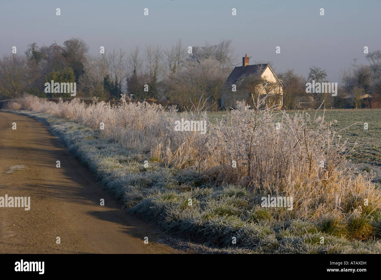 country lane covered in winter frost Stock Photo - Alamy