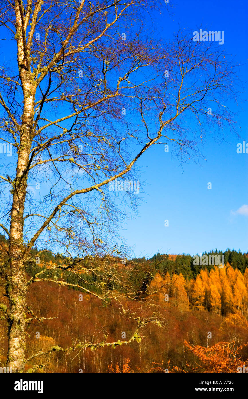 AUTUMN IN THE TROSSACHS Stock Photo - Alamy