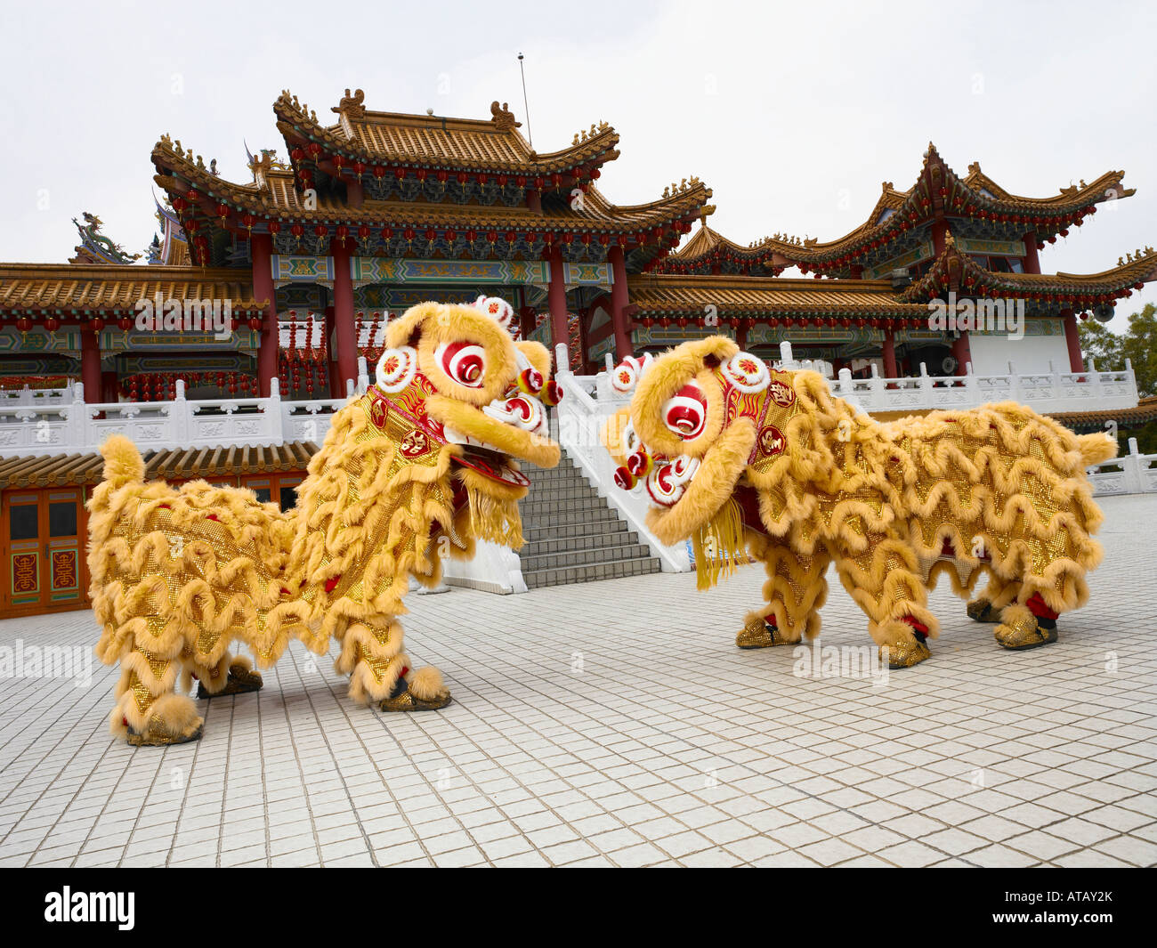 Side View Lion Dance Performer High Resolution Stock Photography and ...
