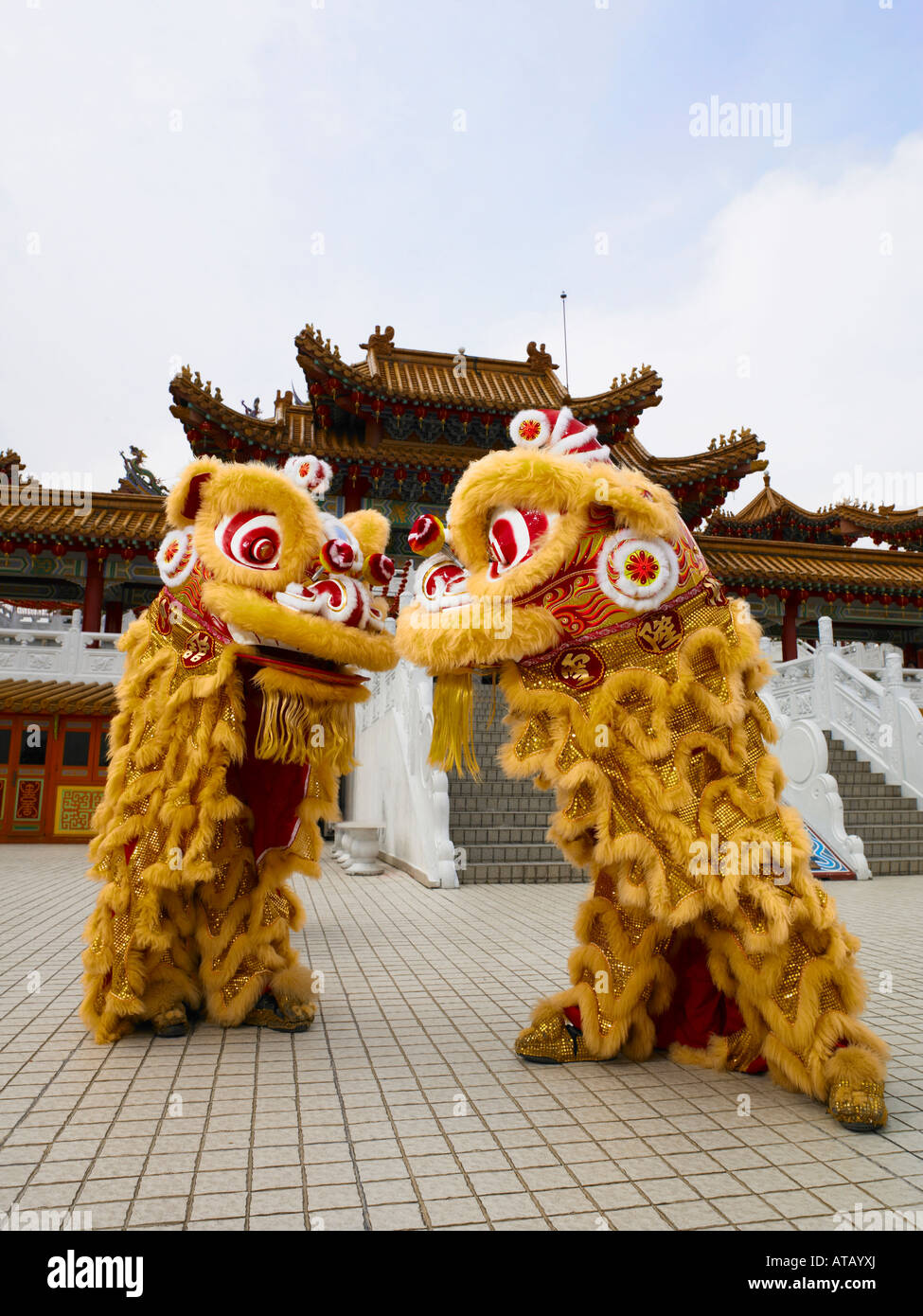 Side view lion dance performer hi-res stock photography and images - Alamy