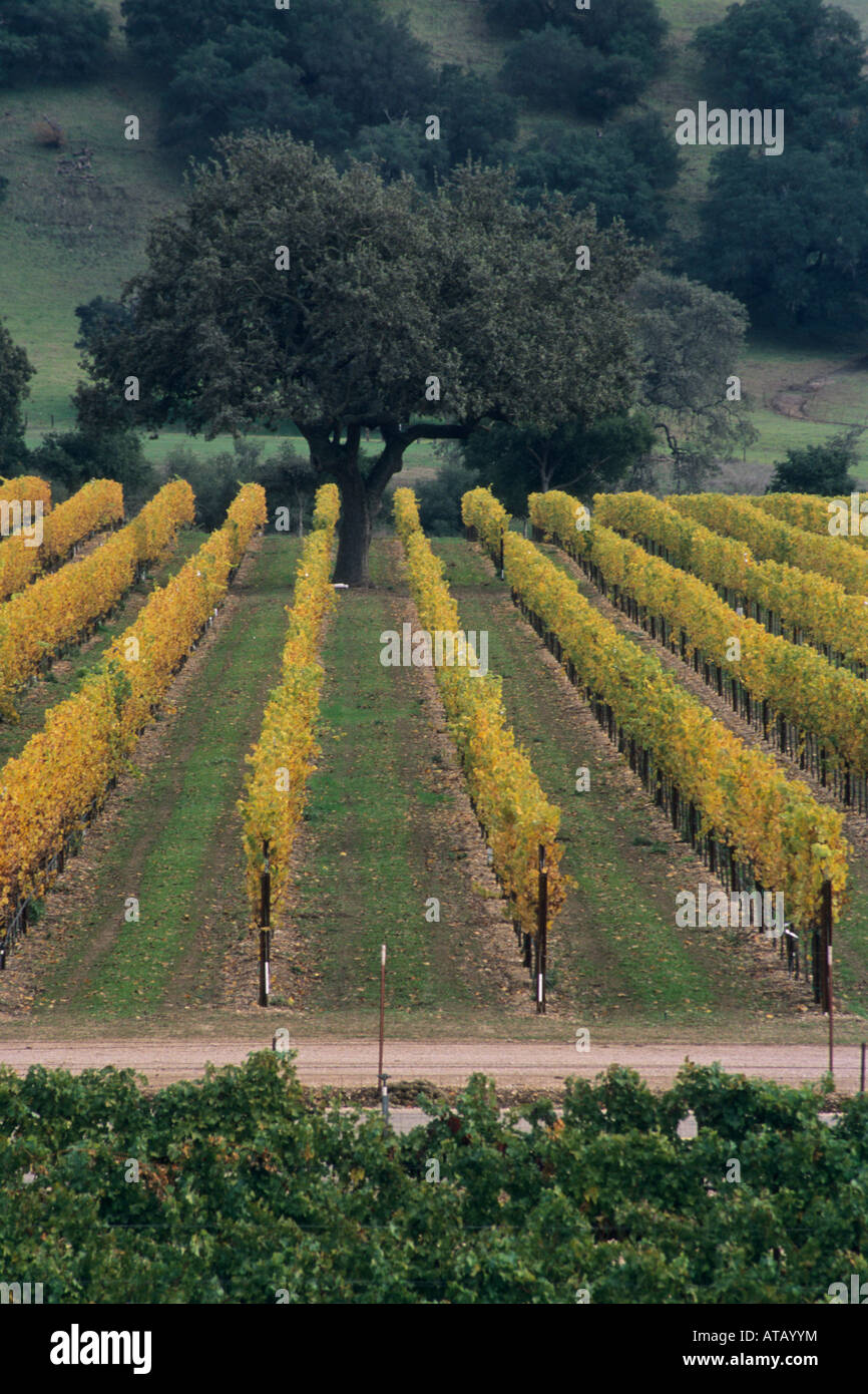 Zaca hi-res stock photography and images - Alamy