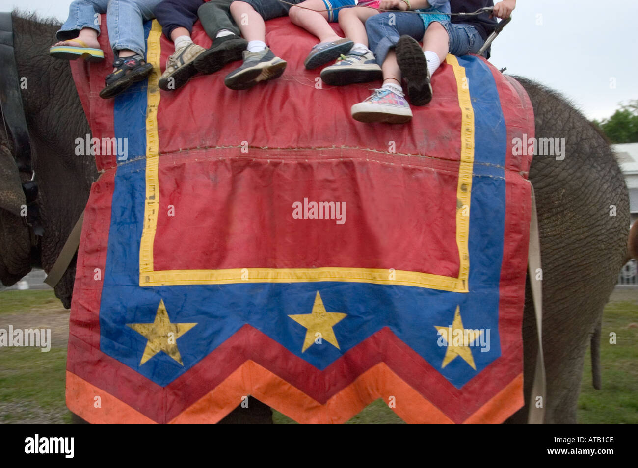 Circus elephant hi-res stock photography and images - Alamy