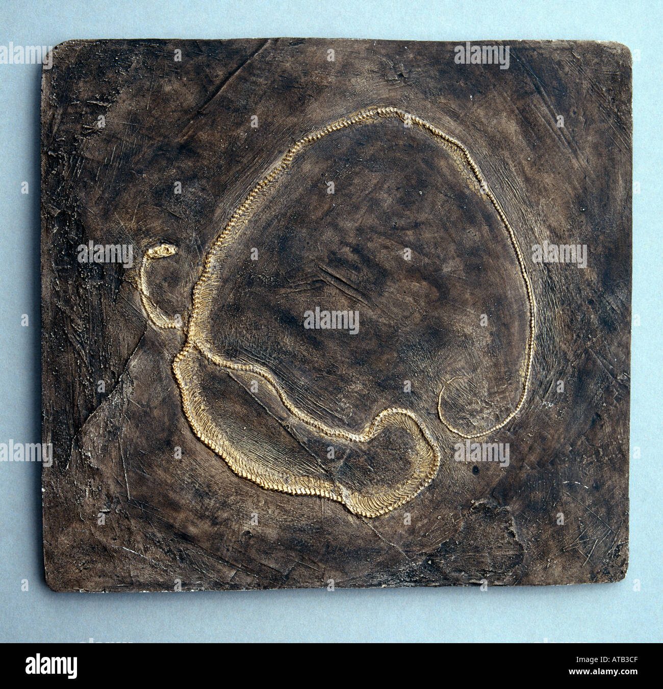 Eocene hi-res stock photography and images - Alamy