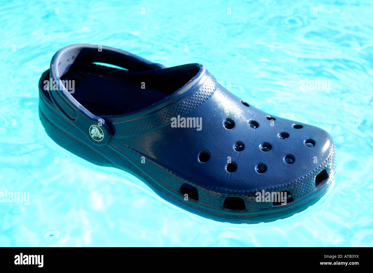 single rightfoot croc floating in blue swimming pool summer holiday ...