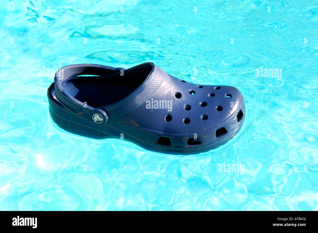 single rightfoot croc floating in blue swimming pool summer holiday ...