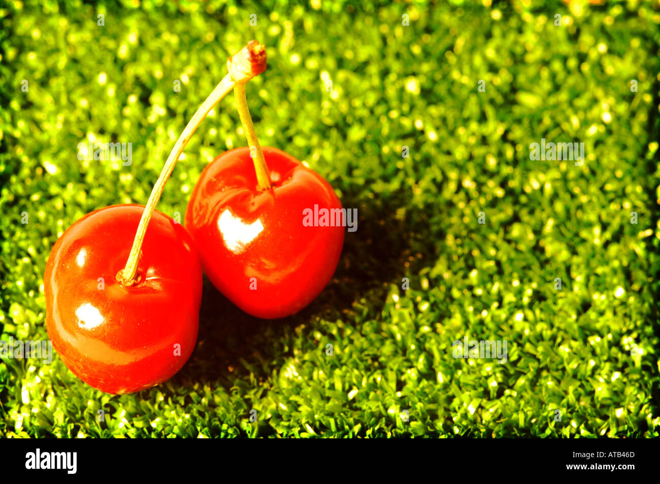 Cherries a fruit hi-res stock photography and images - Alamy