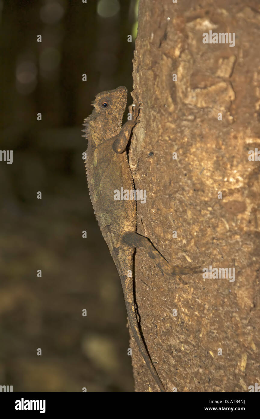 Lsmile hi-res stock photography and images - Alamy