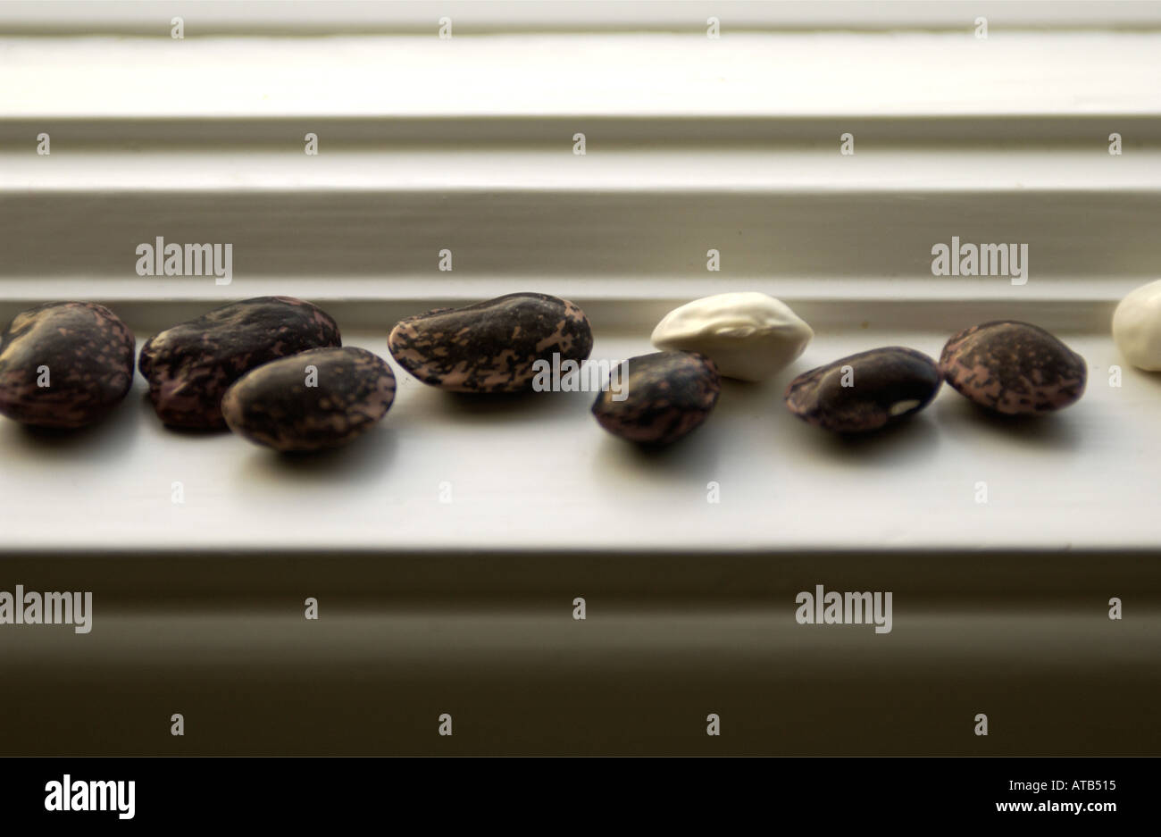 Beans grant hi-res stock photography and images - Alamy