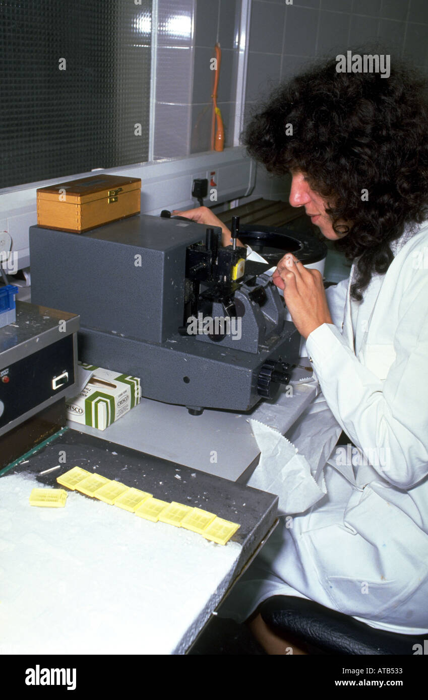 Histology slides hi-res stock photography and images - Alamy