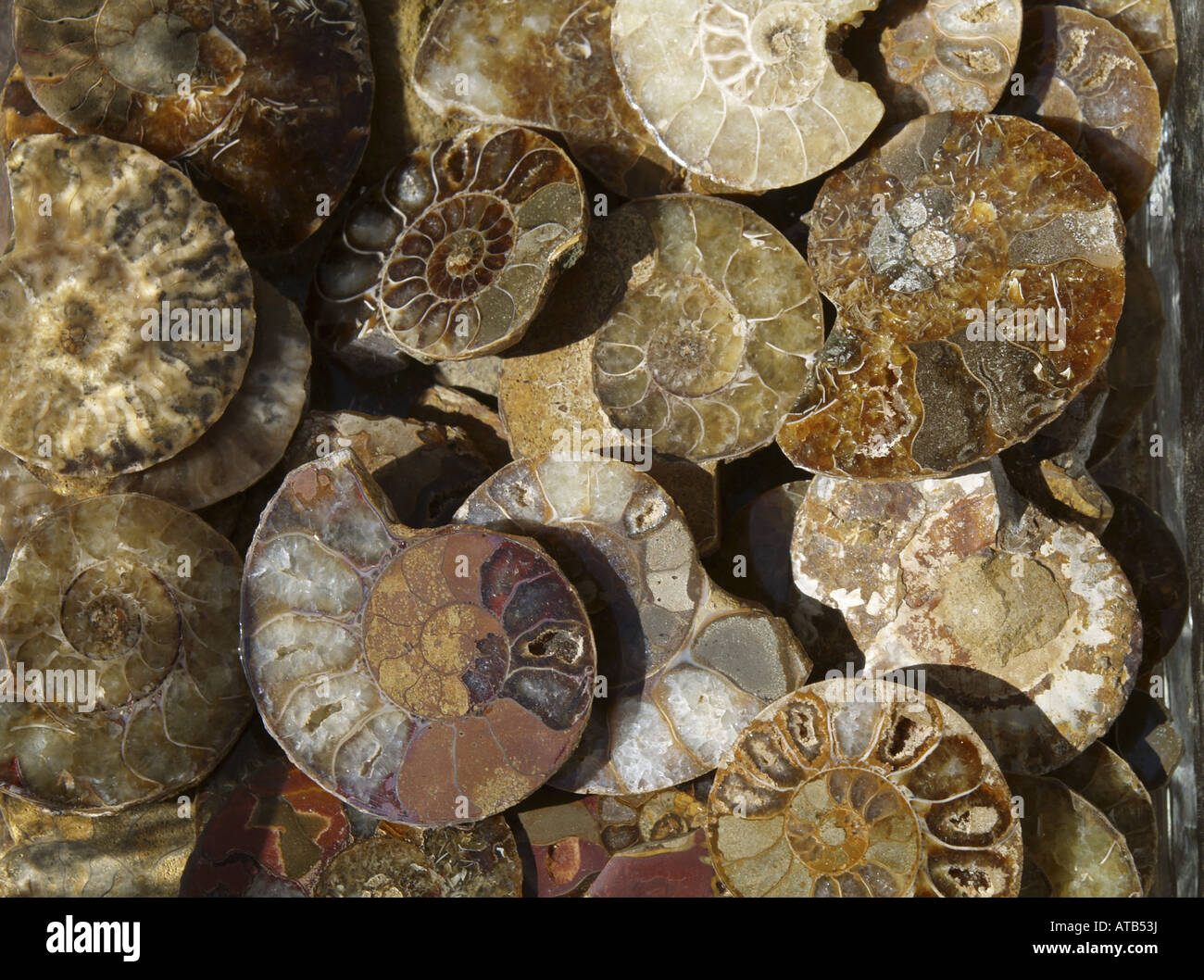 Collection precious stones fossils hi-res stock photography and images - Alamy