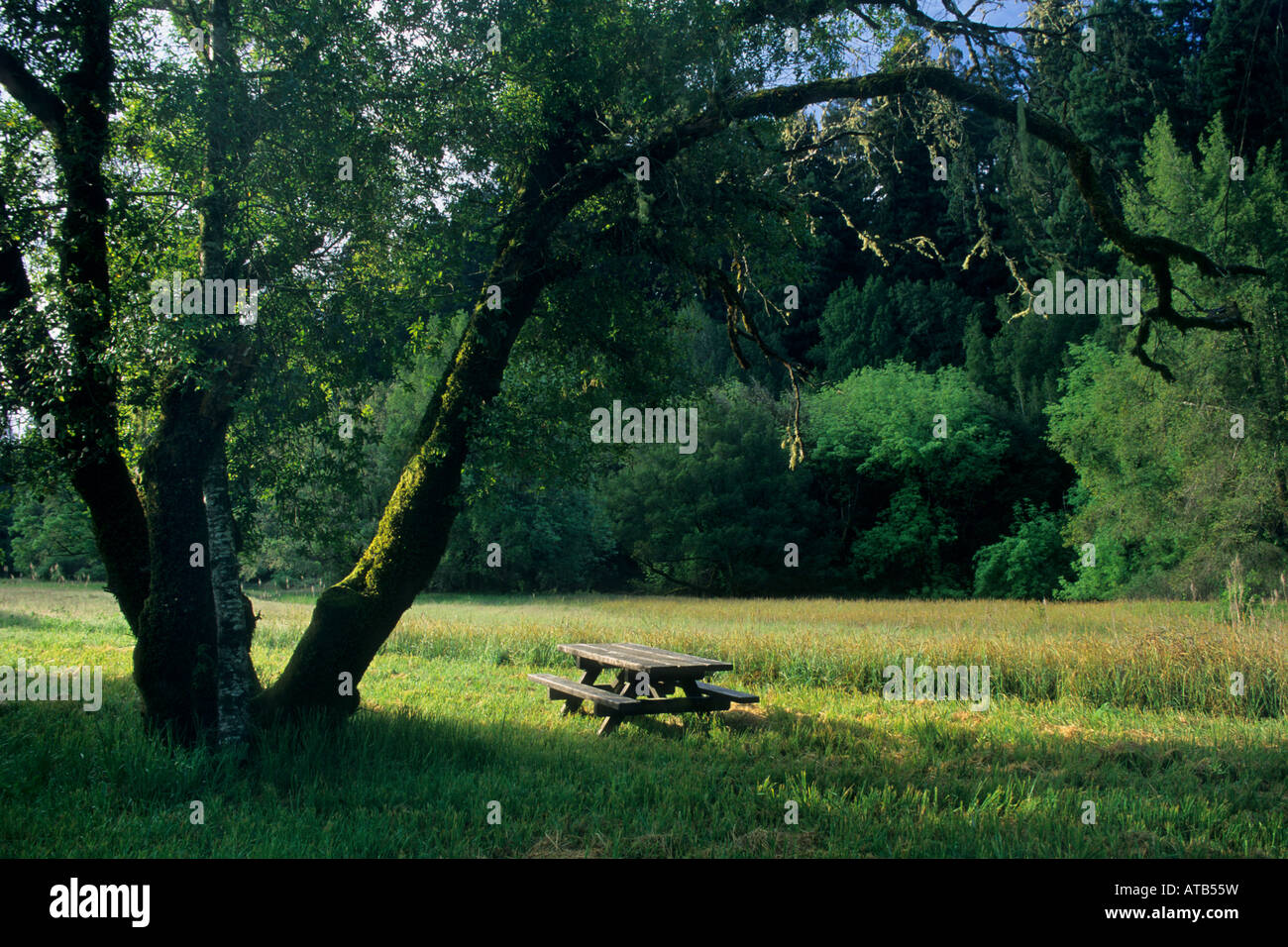 Table under hi-res stock photography and images - Alamy