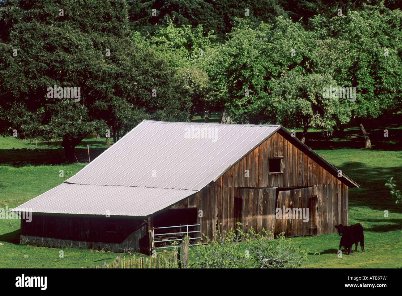 Barn along Signal Ridge Road above the Anderson Valley Mendocino County ...