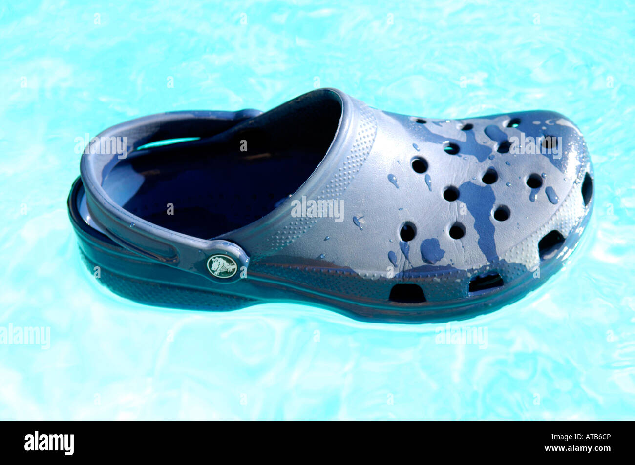 single rightfoot croc floating in blue swimming pool summer holiday ...