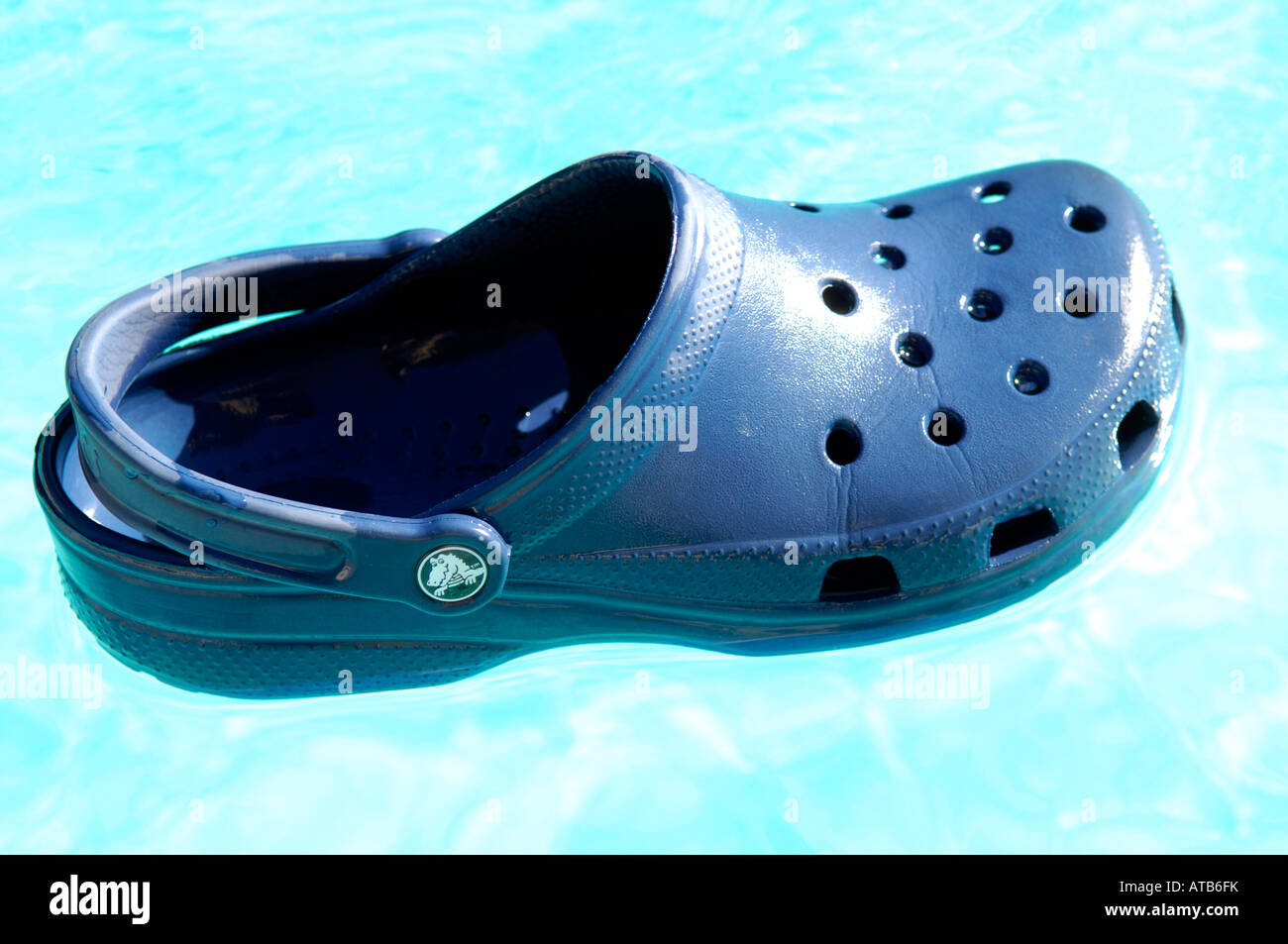 single rightfoot croc floating in blue swimming pool summer holiday ...