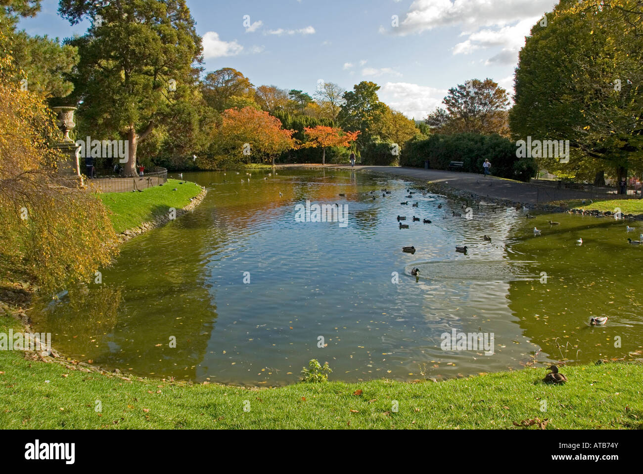 A Duck Pond Stock Photo - Alamy