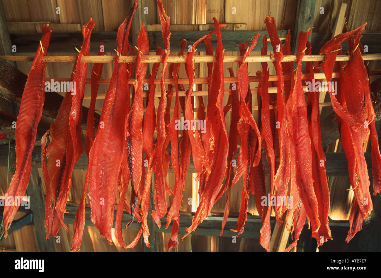 Canada British Columbia First Nations culture Nisgaa salmon smoke house ...