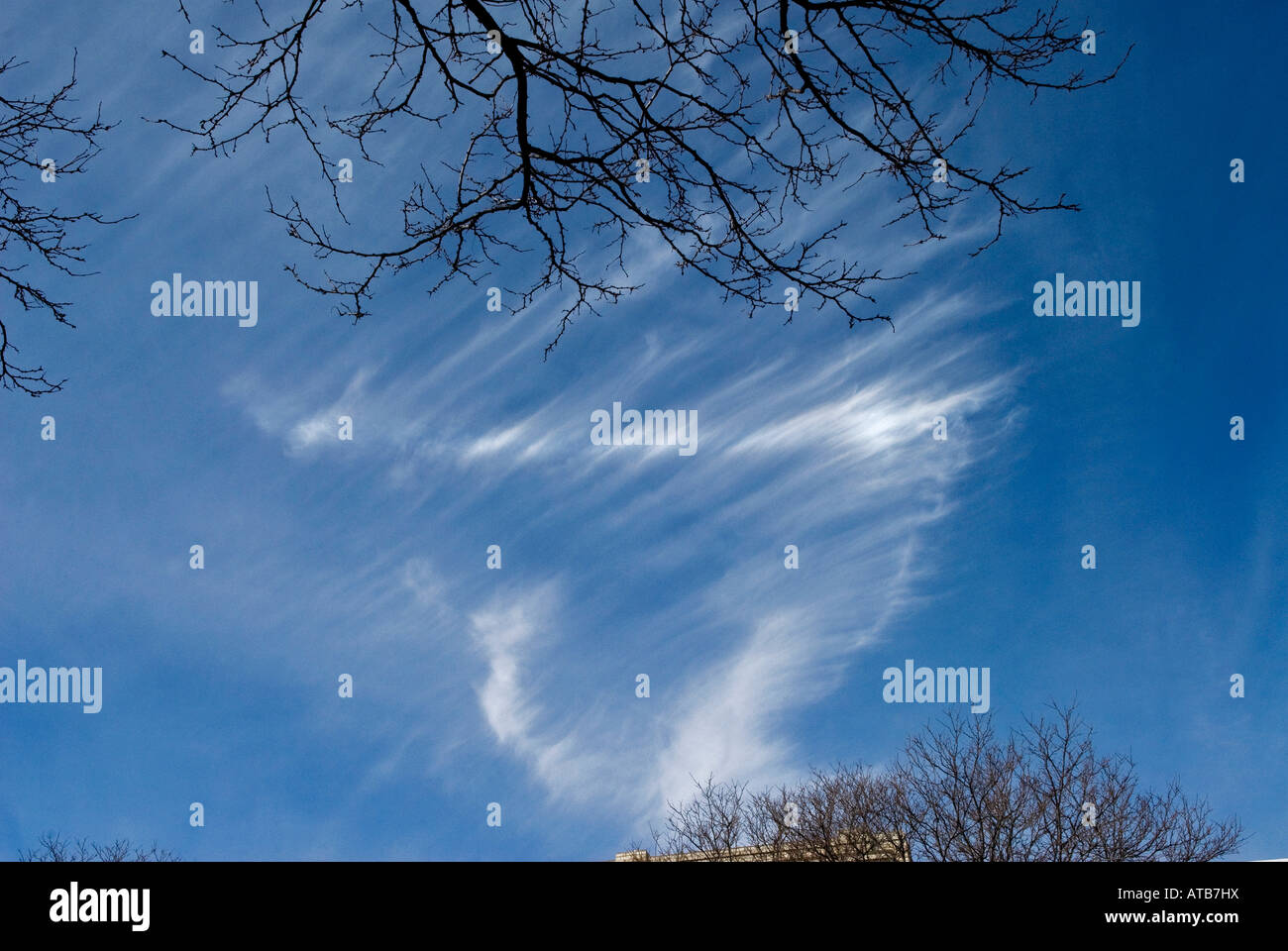 Marestail hi-res stock photography and images - Alamy