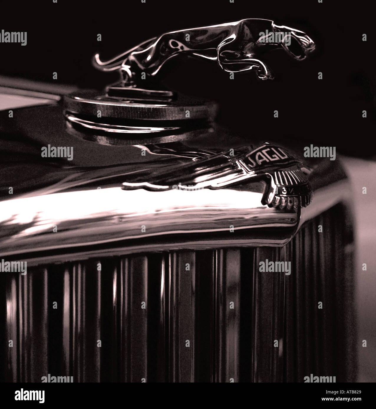 Leaping jaguar logo hi-res stock photography and images - Alamy