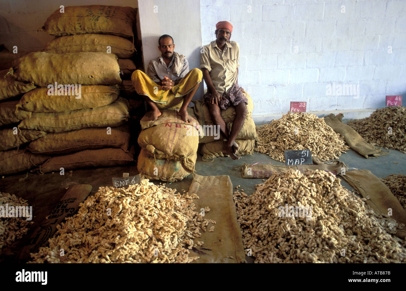 India Kerala cochin A spice warehouse where Ginger is being stored ...