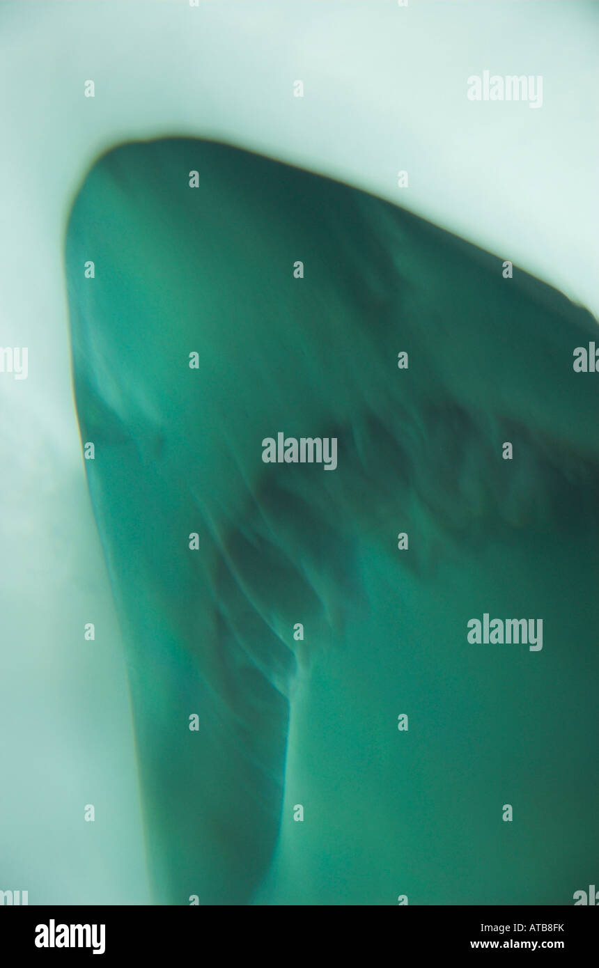 Overhead panning shot hi-res stock photography and images - Alamy