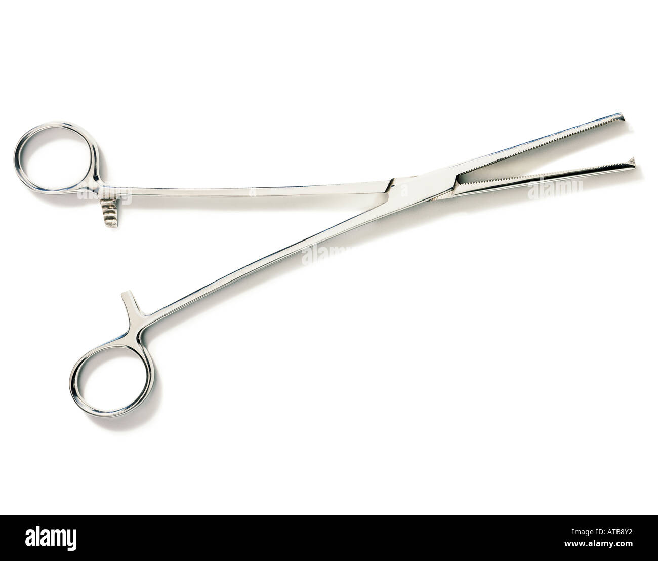 Doctor surgical forceps Cut Out Stock Images & Pictures - Alamy