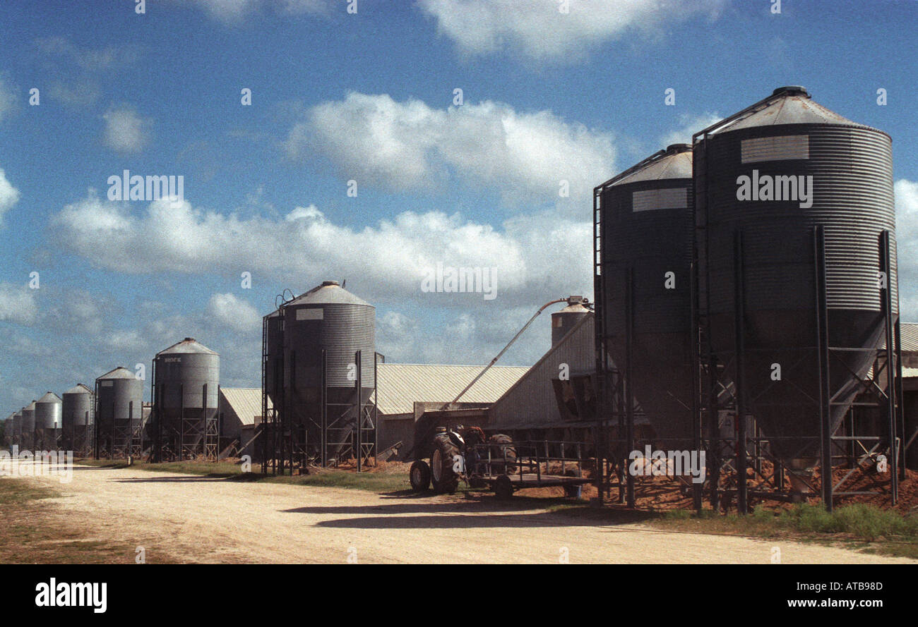 Brooder houses hi-res stock photography and images - Alamy