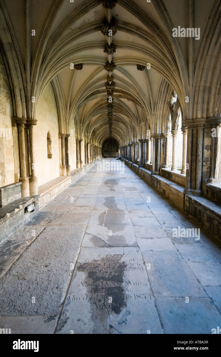 Photograph by Jason Bye Credit Mandatory t 07966 173 930 e mail ...