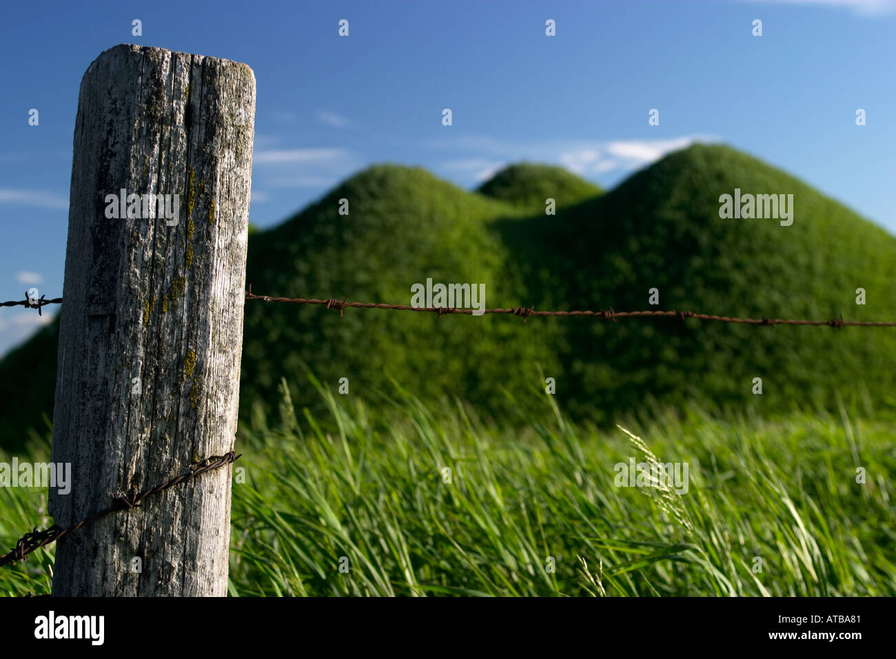 Lush green mounds and field behind fence Stock Photo - Alamy