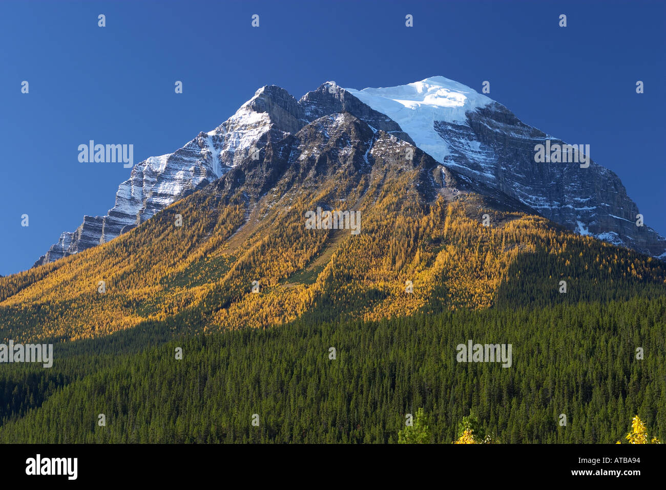 Temple Mountain in Banff National Park Alberta Canada Stock Photo - Alamy