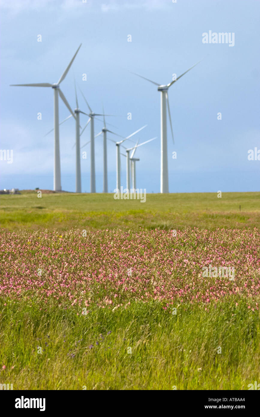 Wind power generator in field of wild flowers Alberta Canada Stock ...