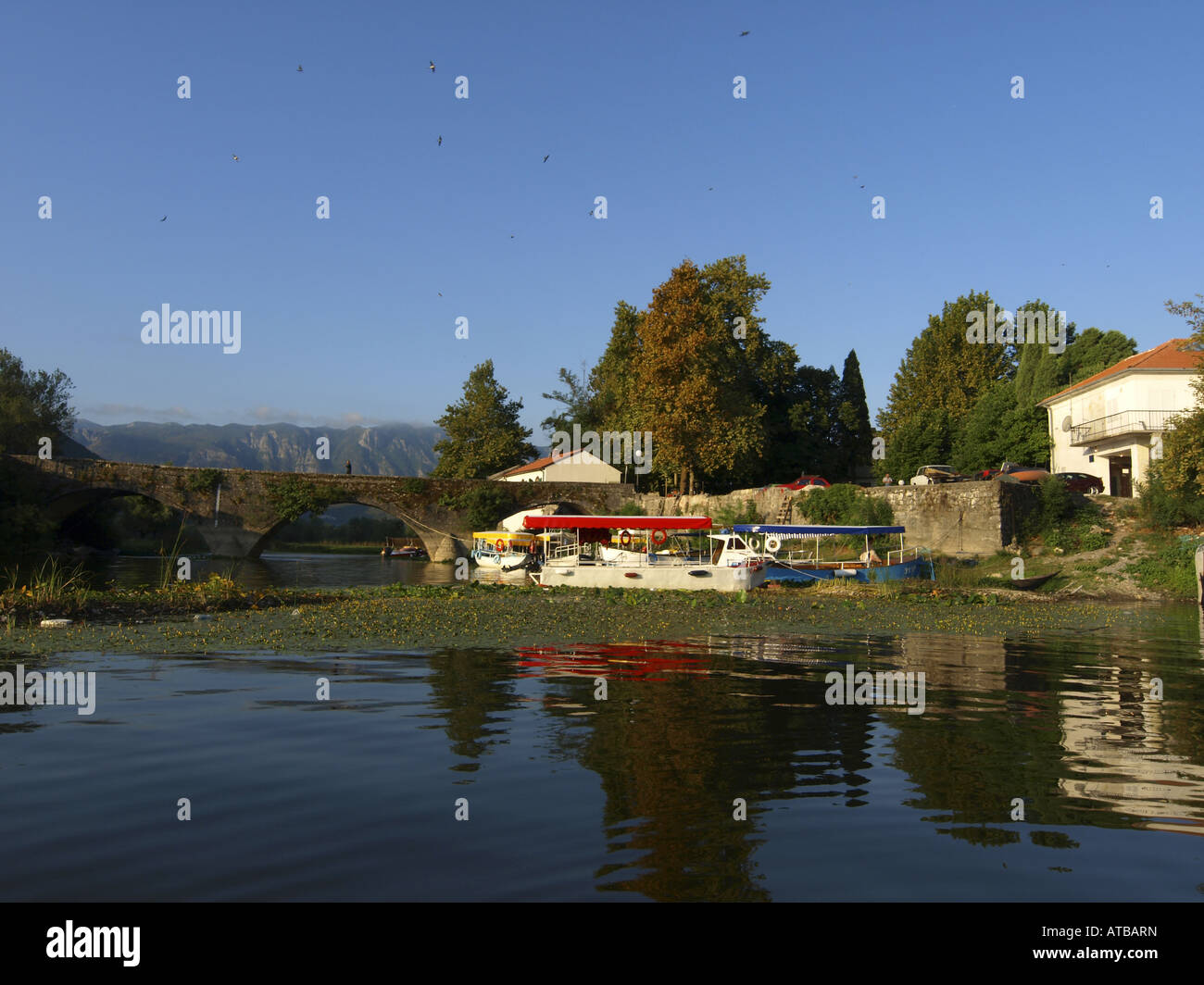 ships at lake Skutari, Serbia and Montenegro, Skutari See Stock Photo ...