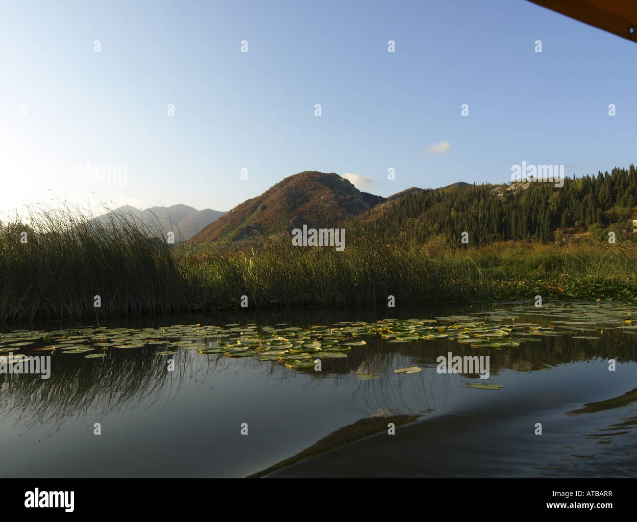landscape scenery at Lake Skutari, Serbia and Montenegro, Skutari See ...