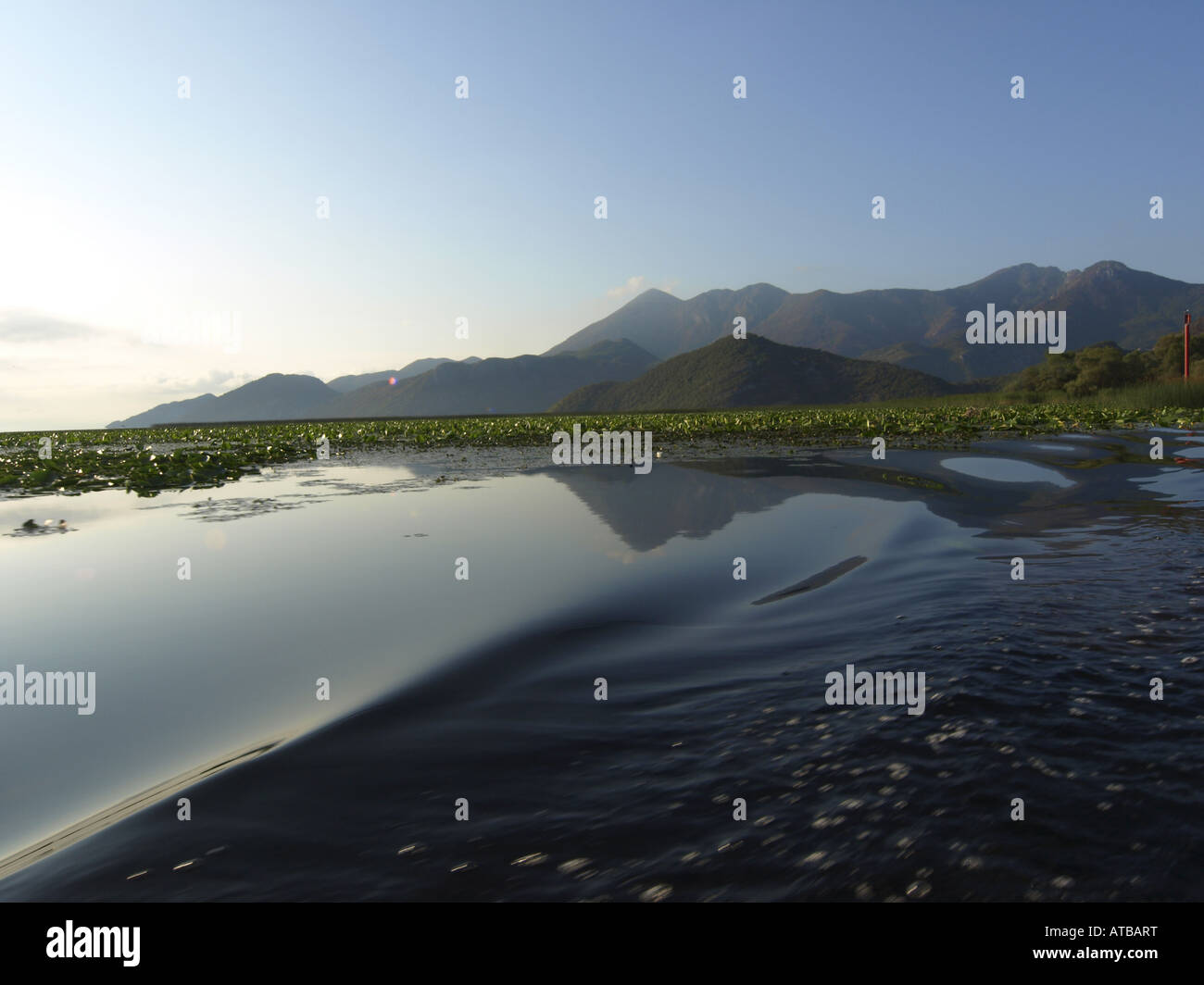 landscape scenery at Lake Skutari, Serbia and Montenegro, Skutari See ...