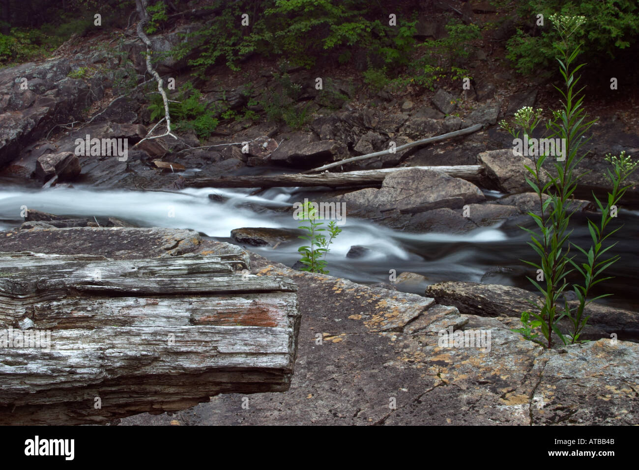 Fastest flowing river hi-res stock photography and images - Alamy