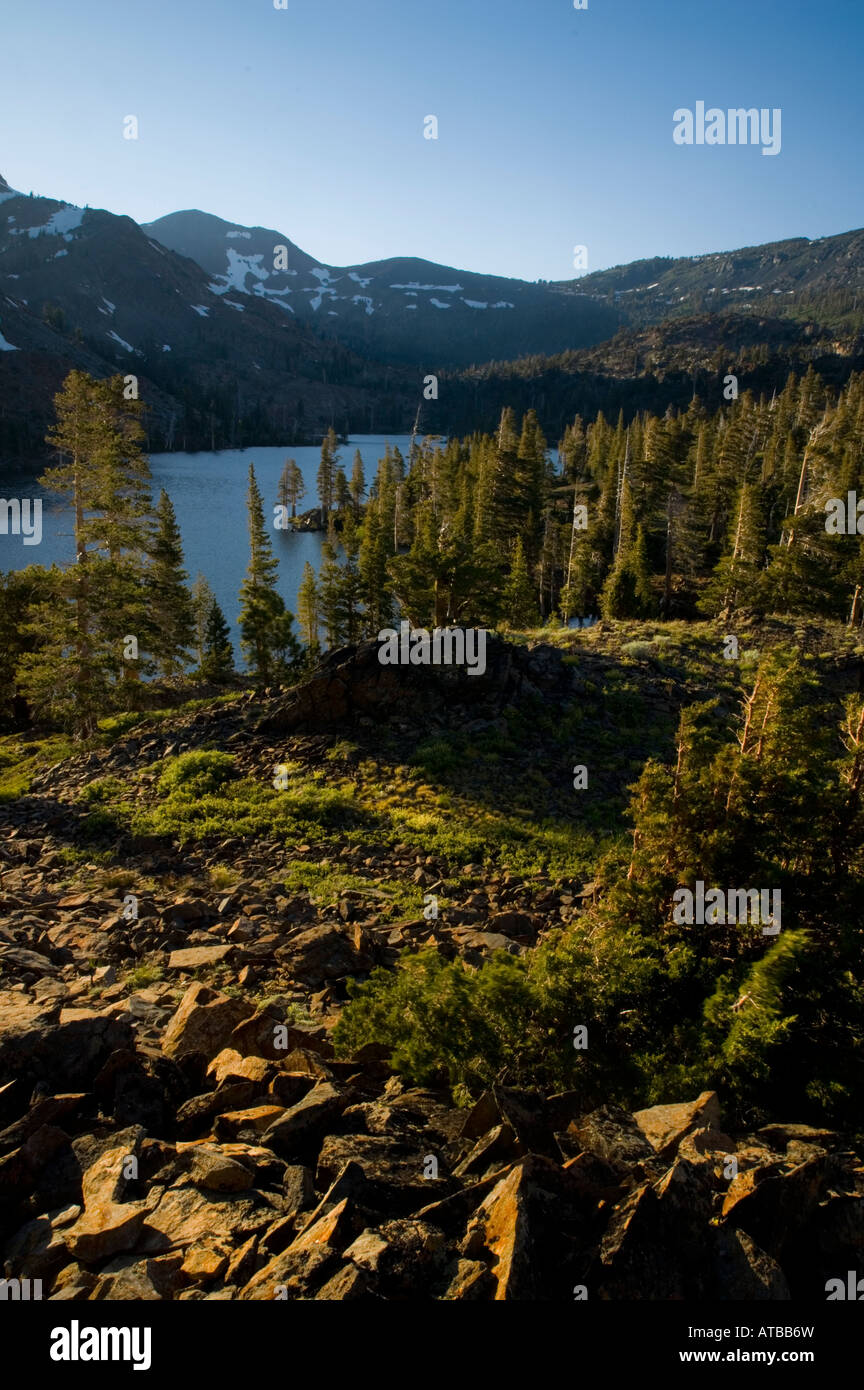 Overlooking the alpine forest and mountains above Suzie Lake Desolation ...