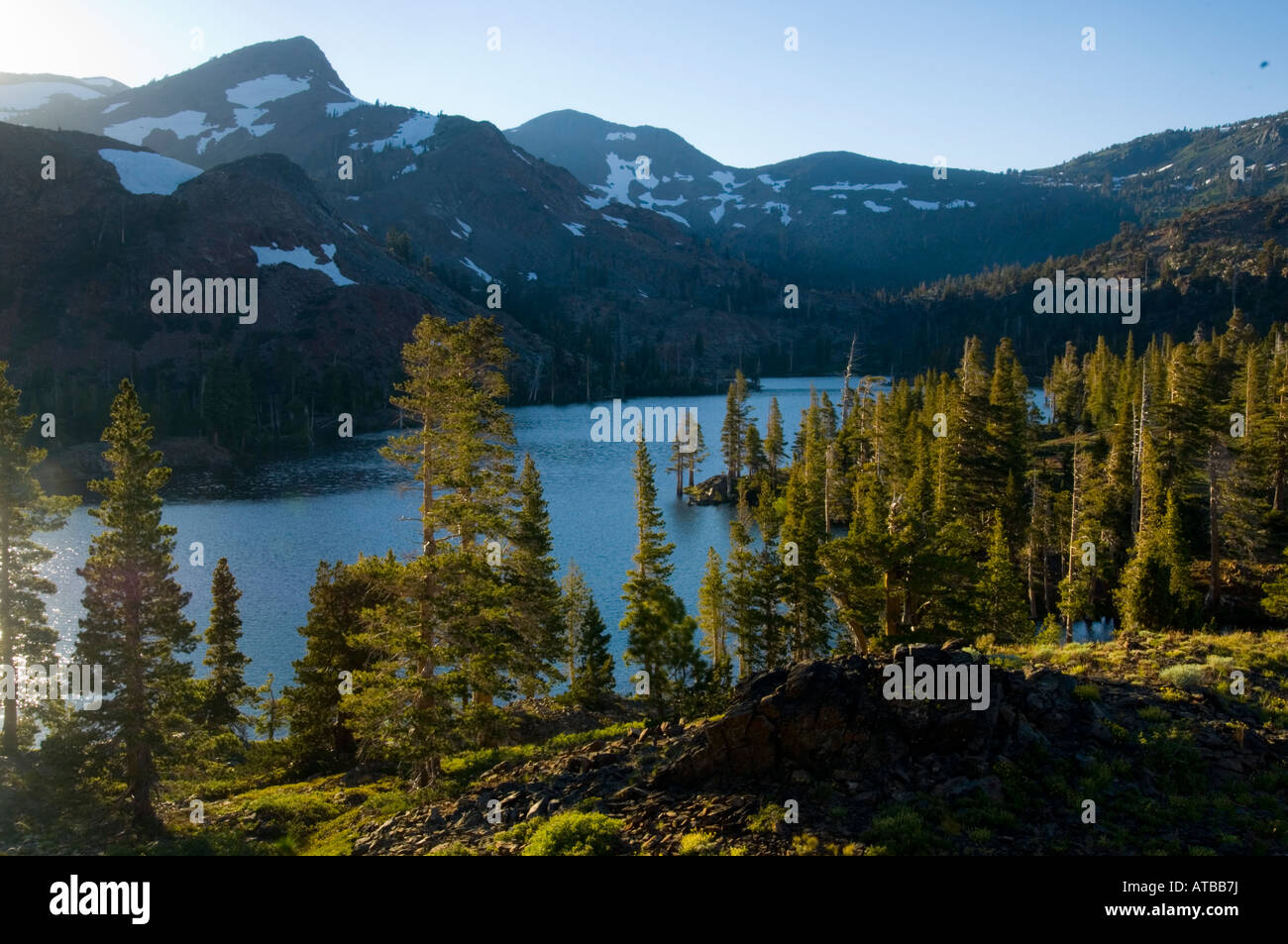 Overlooking the alpine forest and mountains above Suzie Lake Desolation ...
