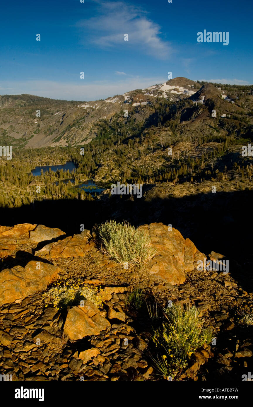 Grass Lake in alpine basin below mountains Desolation Wilderness El ...